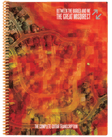 PLINI - Official Guitar Tabs, Vinyl & Merch – Sheet Happens