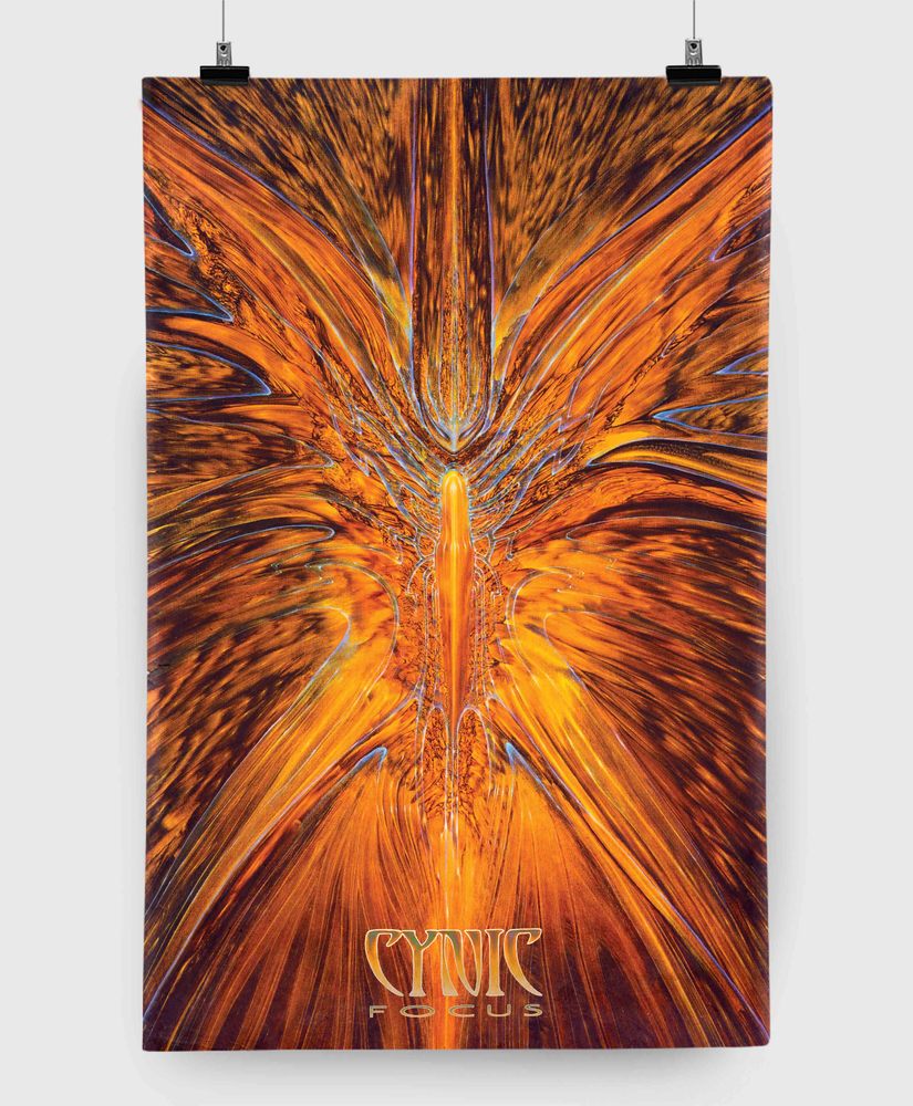 Focus – Sheet Happens